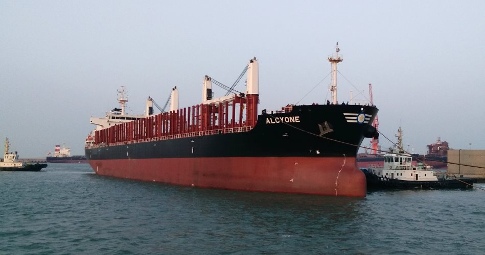 Bulker presentation and specs - alcyone 9767326